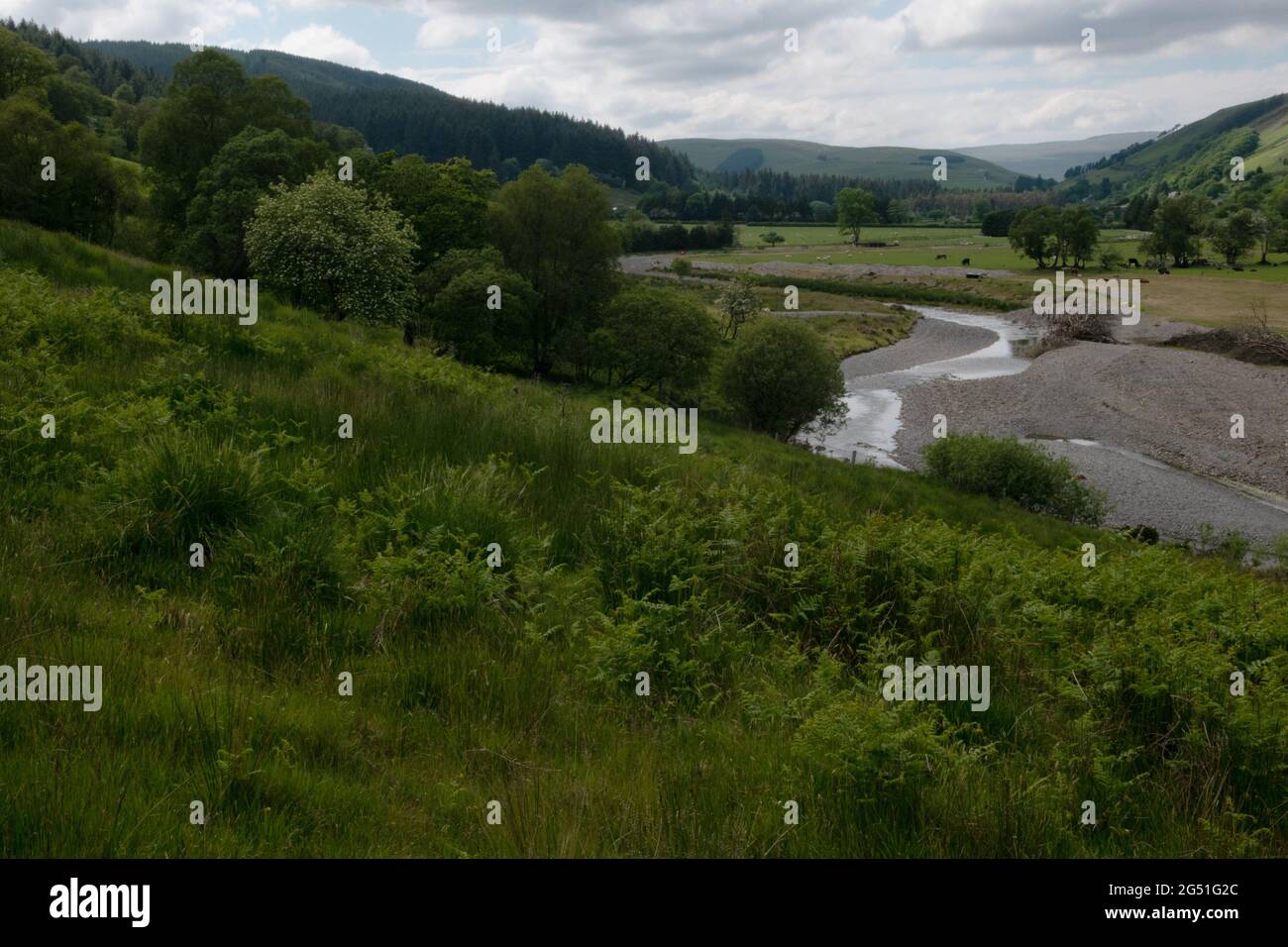 The upper Wye Valley near Llangurig, Wales, UK Stock Photo - Alamy