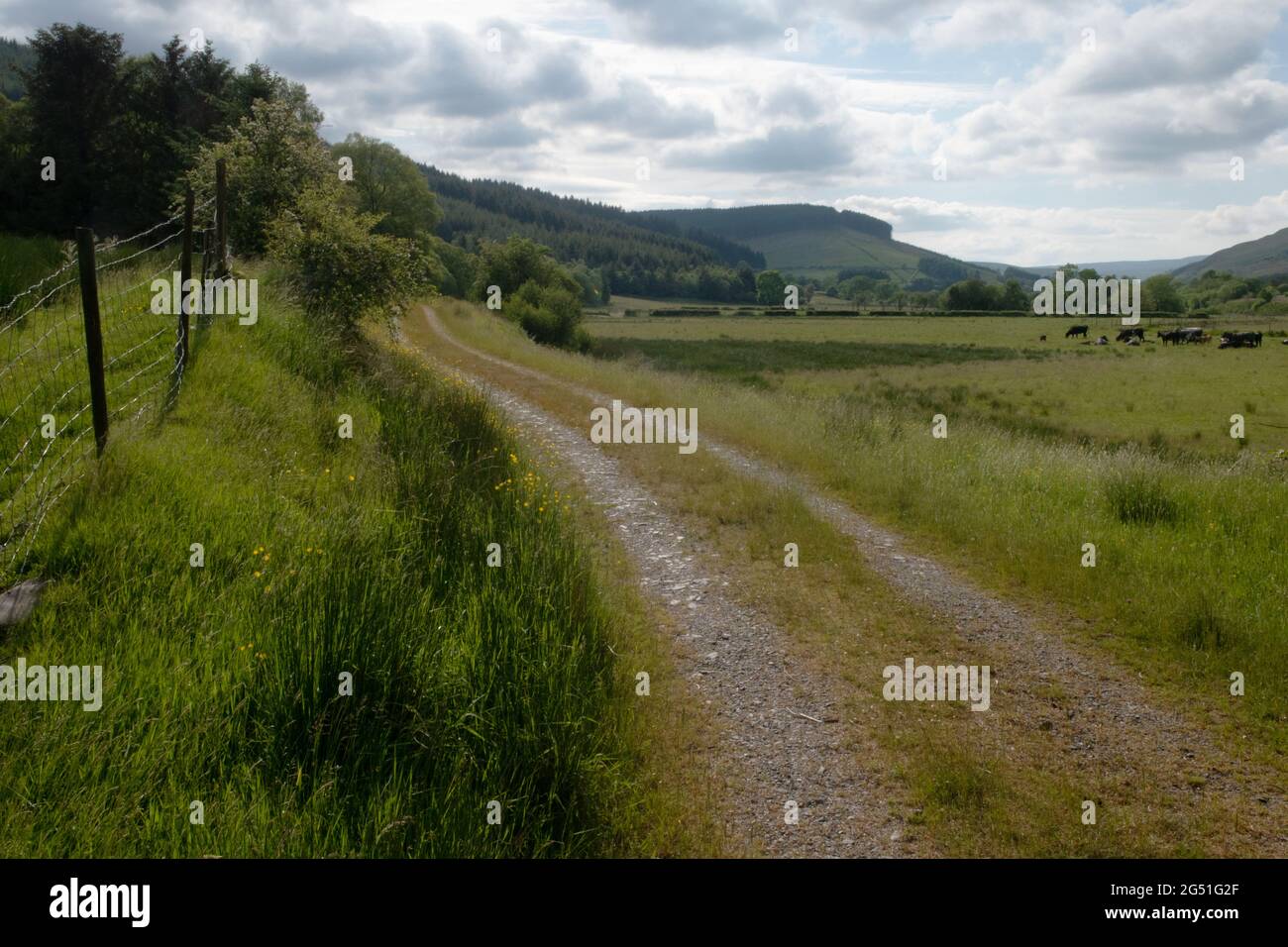 The upper Wye Valley near Llangurig, Wales, UK Stock Photo - Alamy