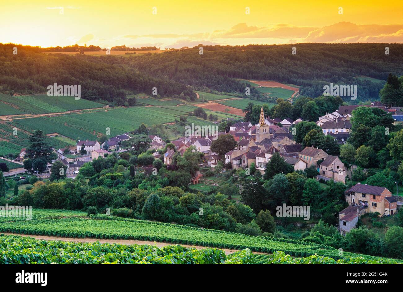 Cote de beaune hi-res stock photography and images - Alamy Cote de beaune hi-res stock photography and images - Alamy