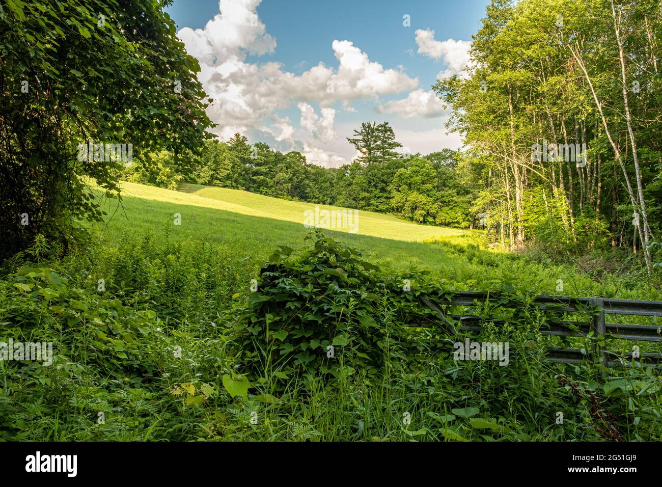 A sloping pasture just off the road in Royalston, Massachusetts Stock ...