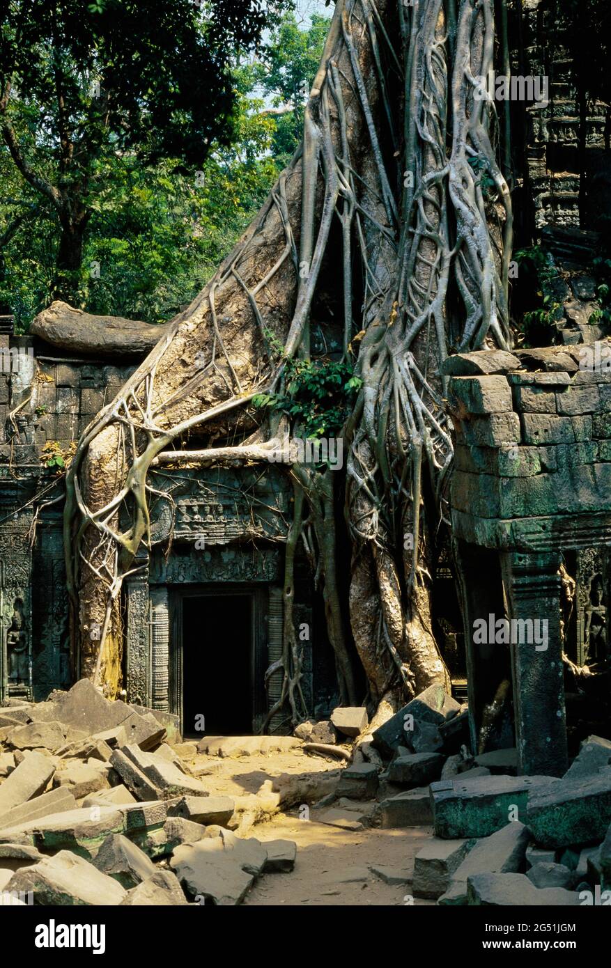 Root temple hi-res stock photography and images - Alamy