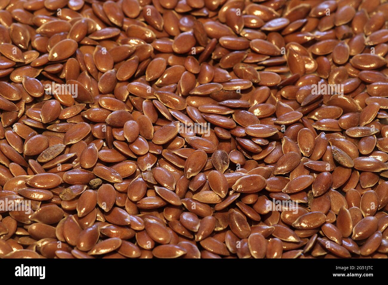 Kitchen pantry dried grains, beans, seeds, pulses and lentils Stock ...