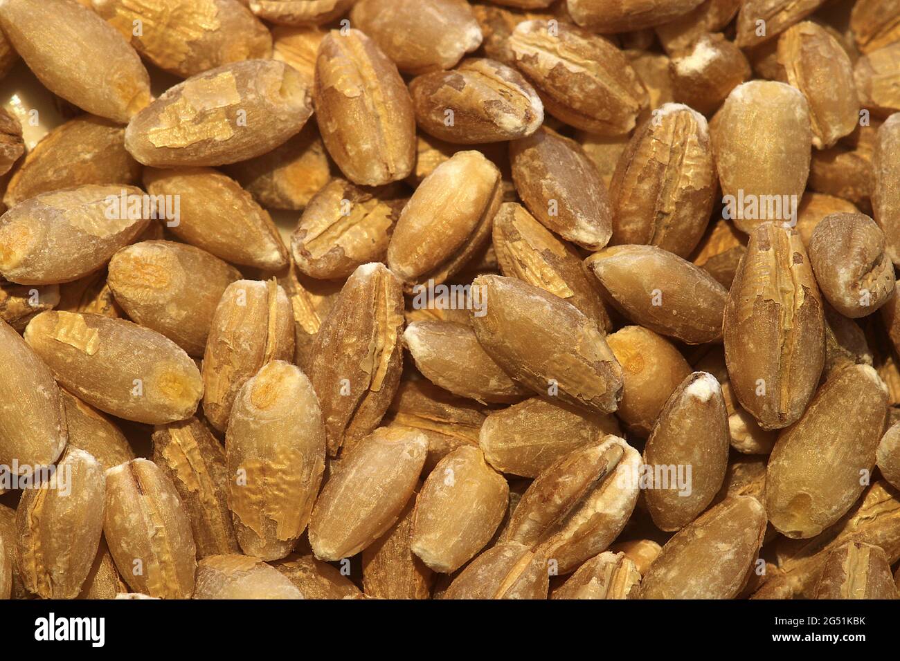 Kitchen pantry dried grains, beans, seeds, pulses and lentils Stock ...