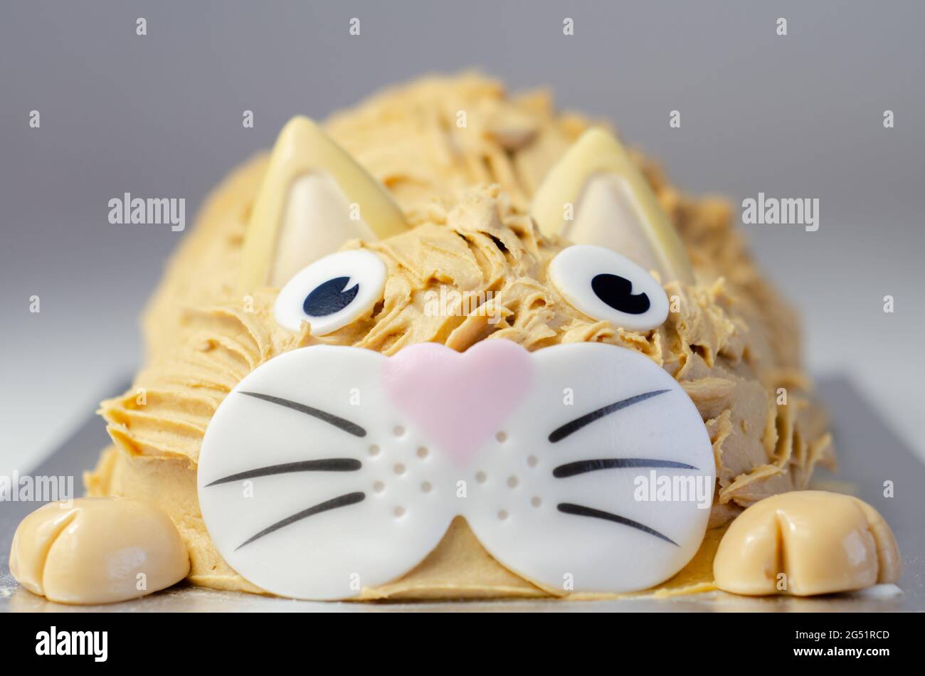 Cake cat,madeira sponge, layered and coated with caramel flavour ...