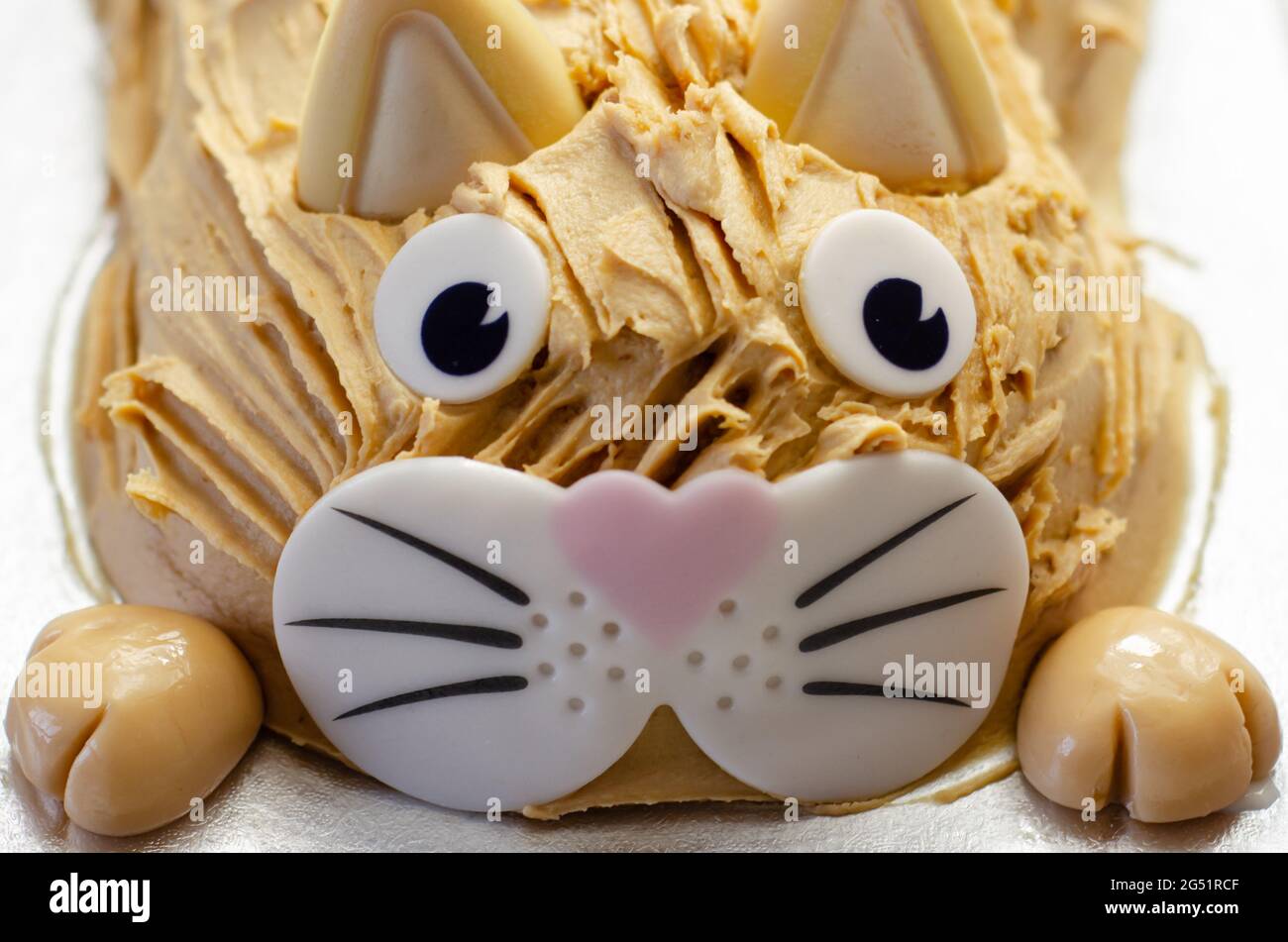Cake cat,madeira sponge, layered and coated with caramel flavour ...