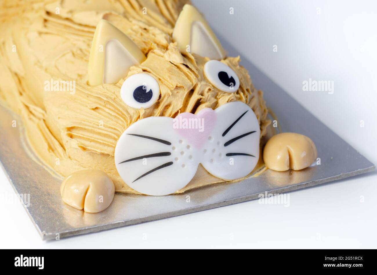 Cake cat,madeira sponge, layered and coated with caramel flavour ...