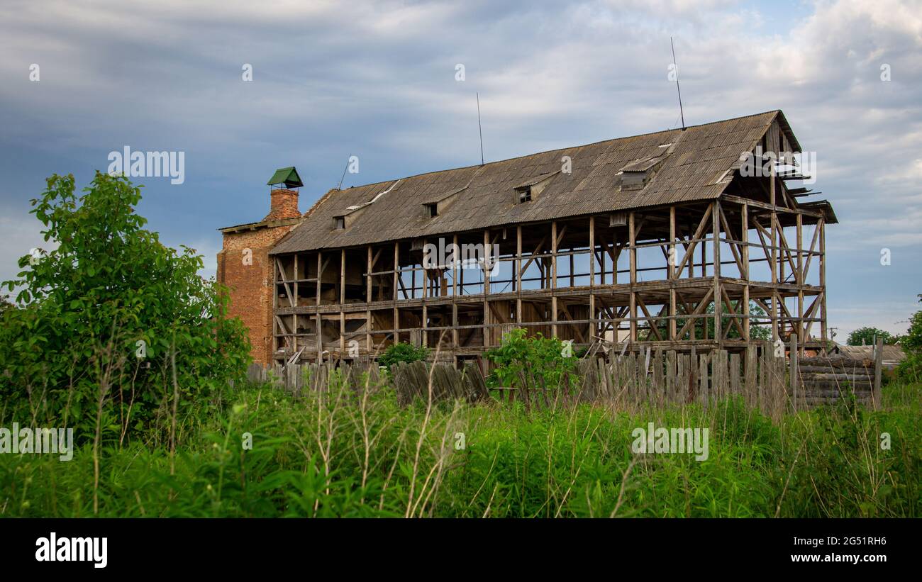 Abandoned and ruined old farm overgrown with bushes and trees Stock ...