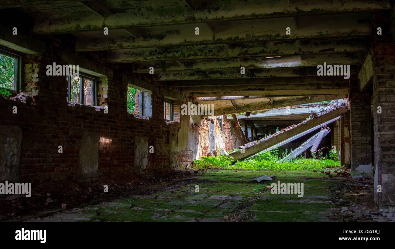 Abandoned and ruined old farm overgrown with bushes and trees Stock ...