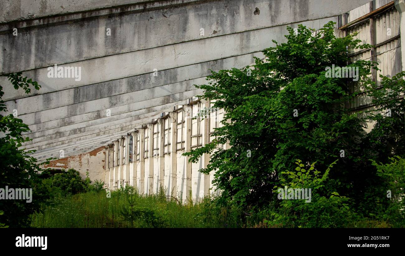 Abandoned and ruined old farm overgrown with bushes and trees Stock ...