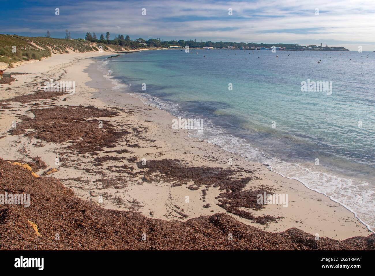Beach on Thomson Bay, Rottnest Island Stock Photo - Alamy