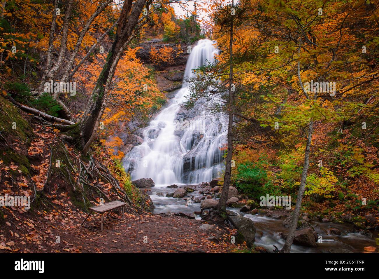 Gushing water fall in an autumn forest landscape with dense trees, Cape ...