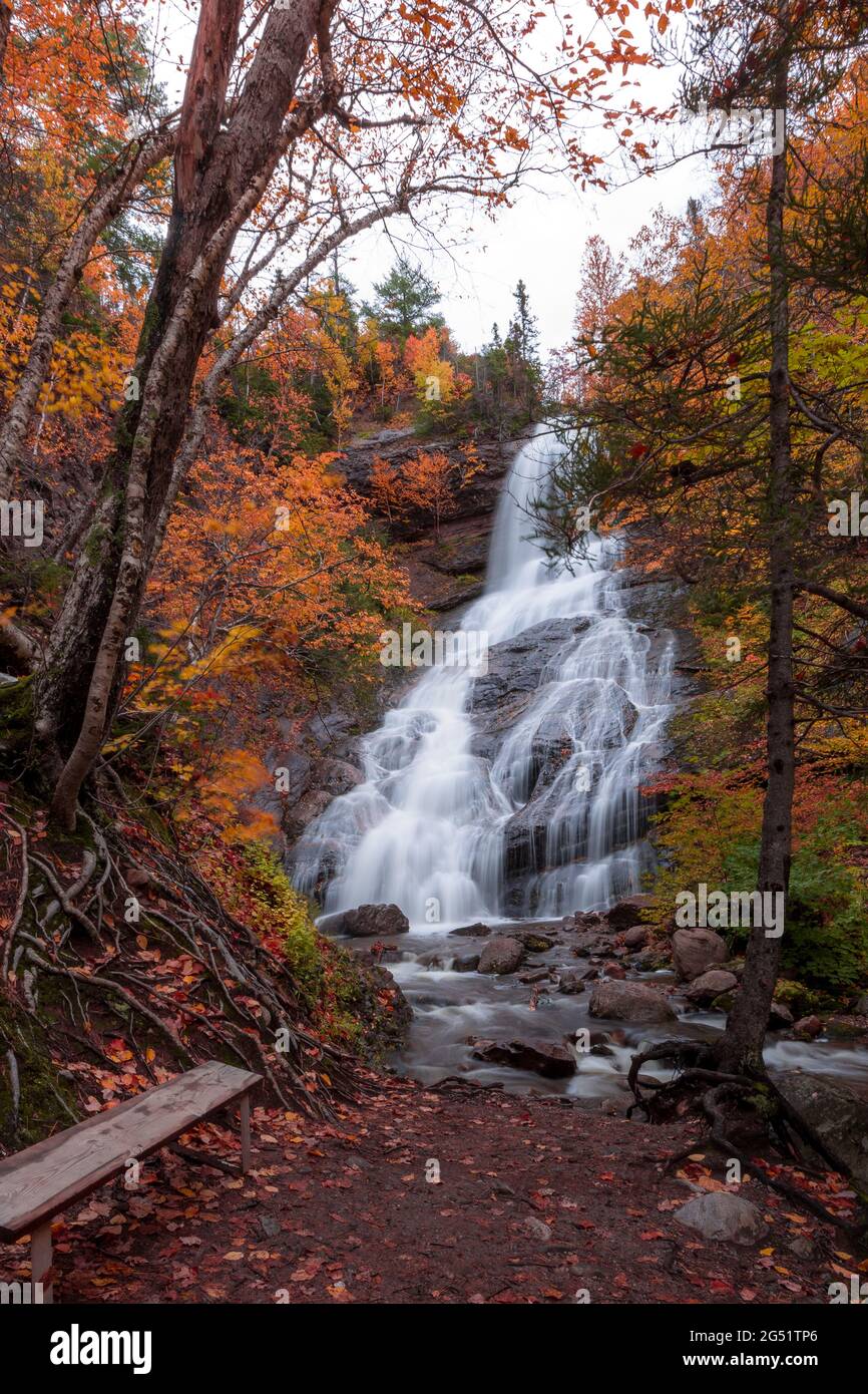 Gushing water fall in an autumn forest landscape with dense trees, Cape ...