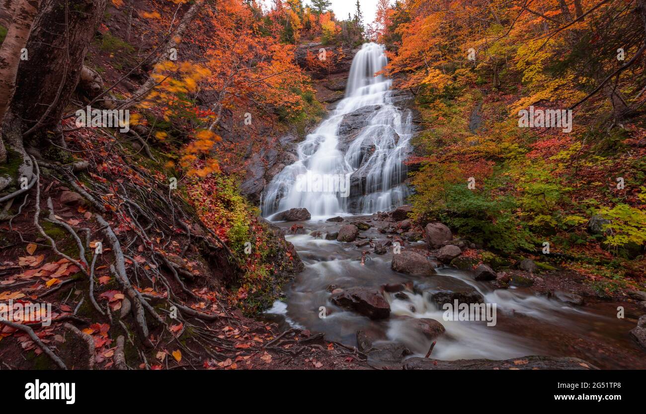 Gushing water fall in an autumn forest landscape with dense trees, Cape ...