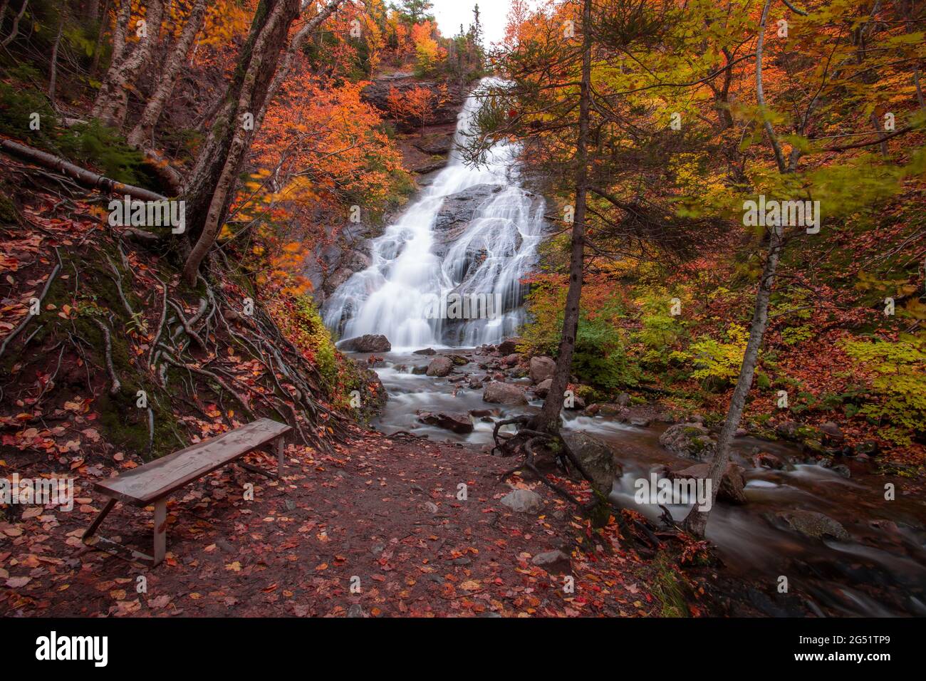 Gushing water fall in an autumn forest landscape with dense trees, Cape ...