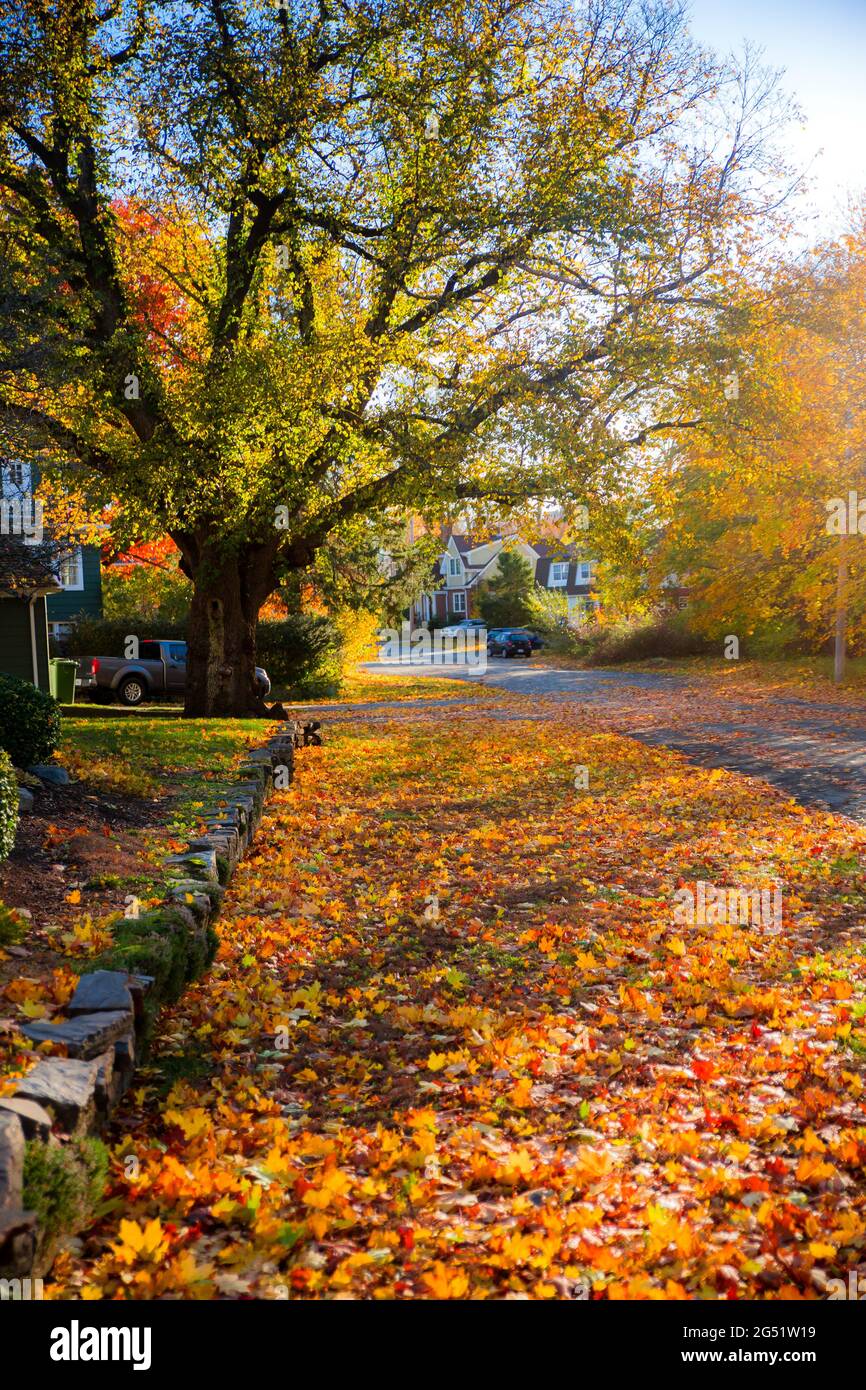 Sunbeams of paradise hi-res stock photography and images - Alamy