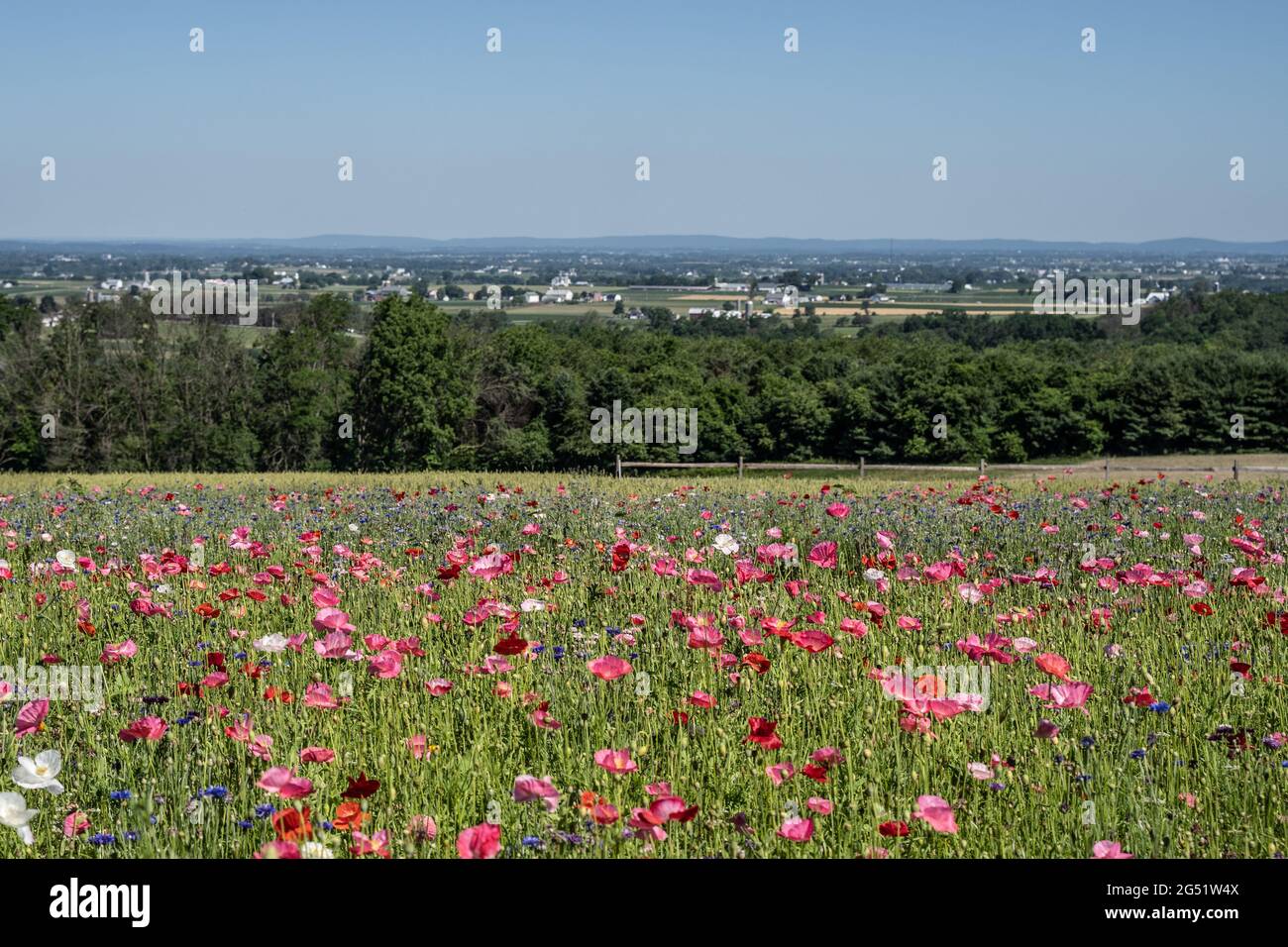 Pennsylvania amish farms hi-res stock photography and images - Alamy