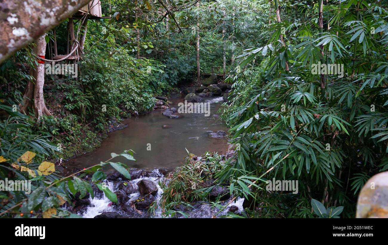 Buleleng bali hi-res stock photography and images - Alamy