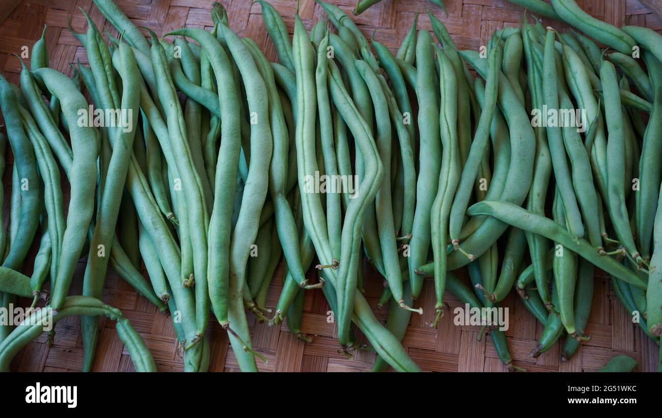 Bendi hi-res stock photography and images - Alamy