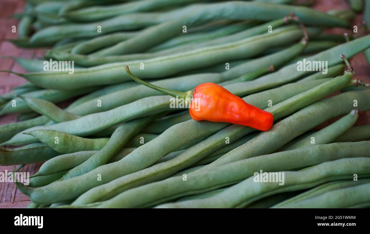 Bendi High Resolution Stock Photography and Images - Alamy