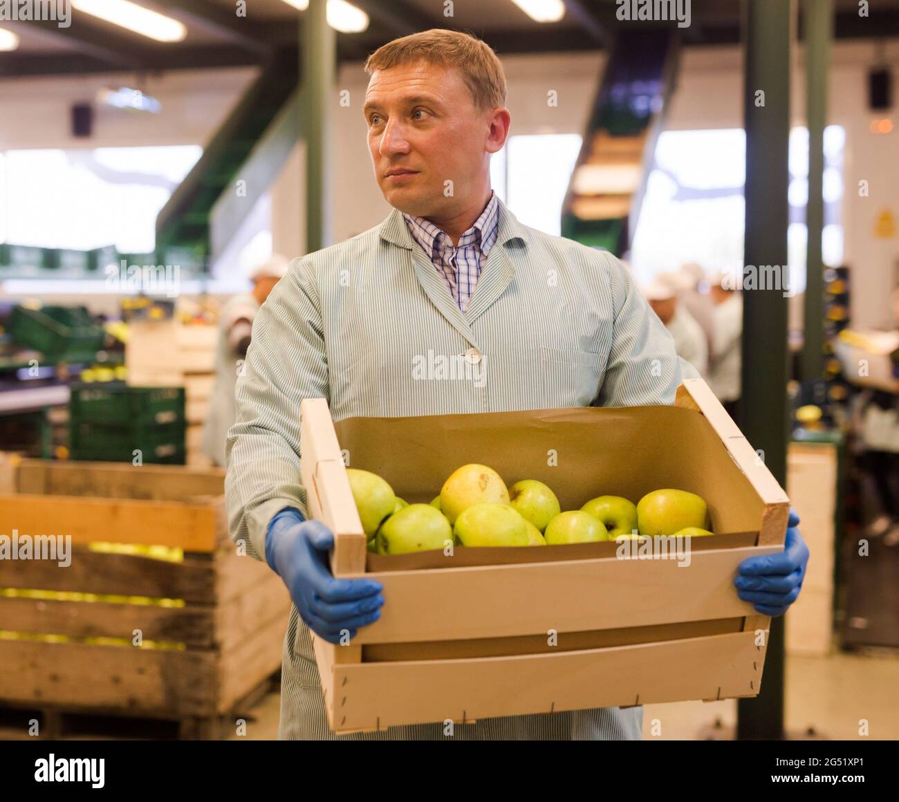Worker packing apple boxes hi-res stock photography and images - Alamy