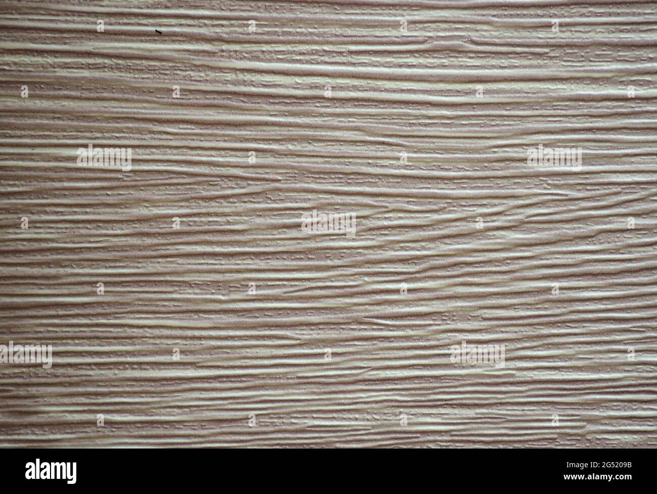 Light Walnut Texture