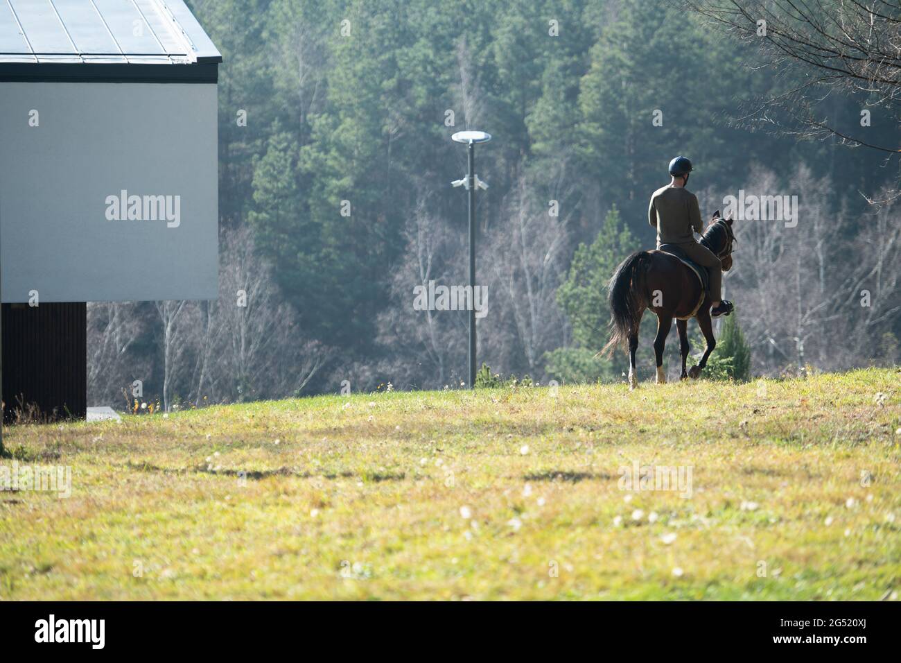 Young Man Jockey Riding Brown Horse Strolling Across Field Stock Photo ...
