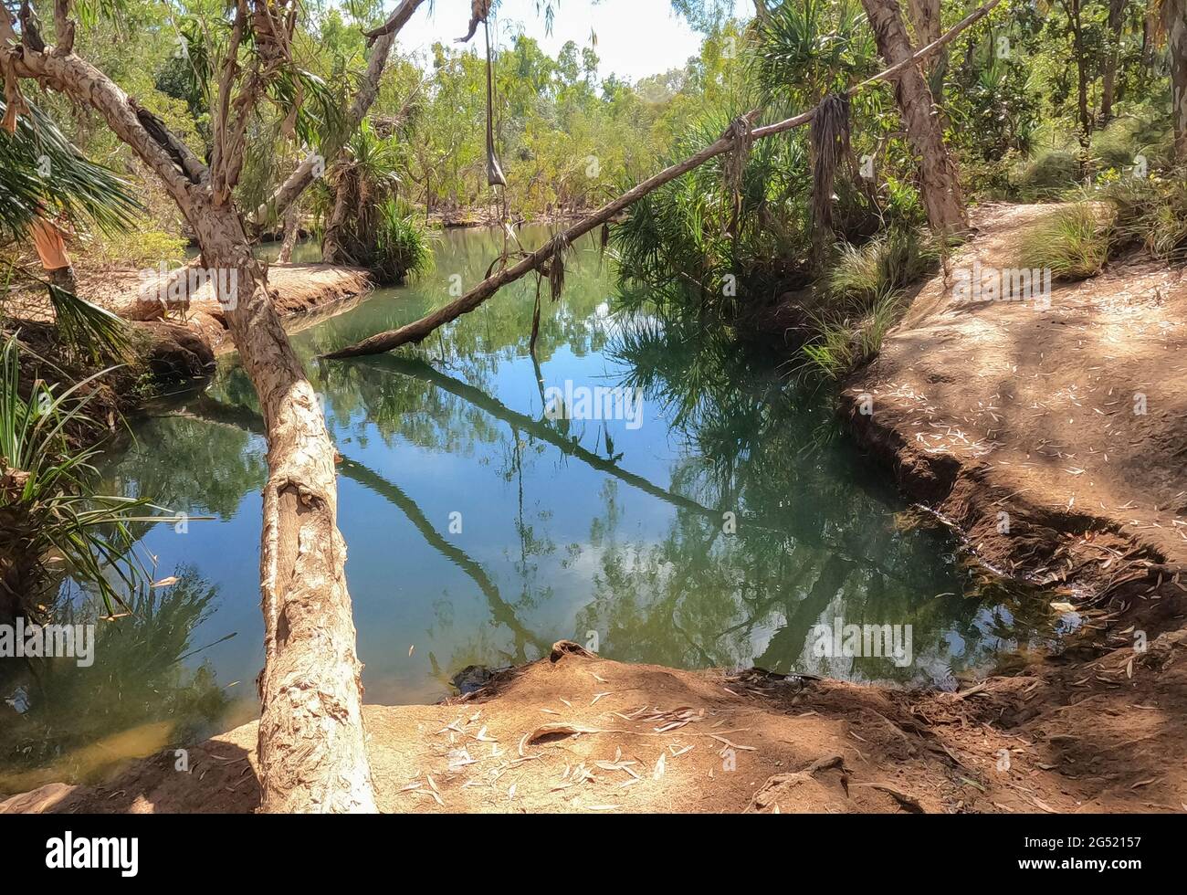 Gregory river ,north Queensland, Australia Stock Photo - Alamy