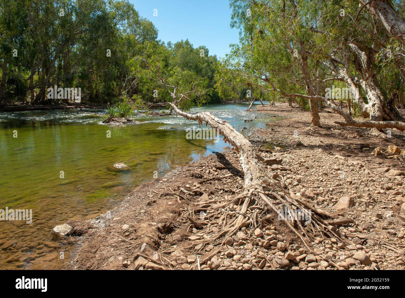 Gregory river ,north Queensland, Australia Stock Photo - Alamy