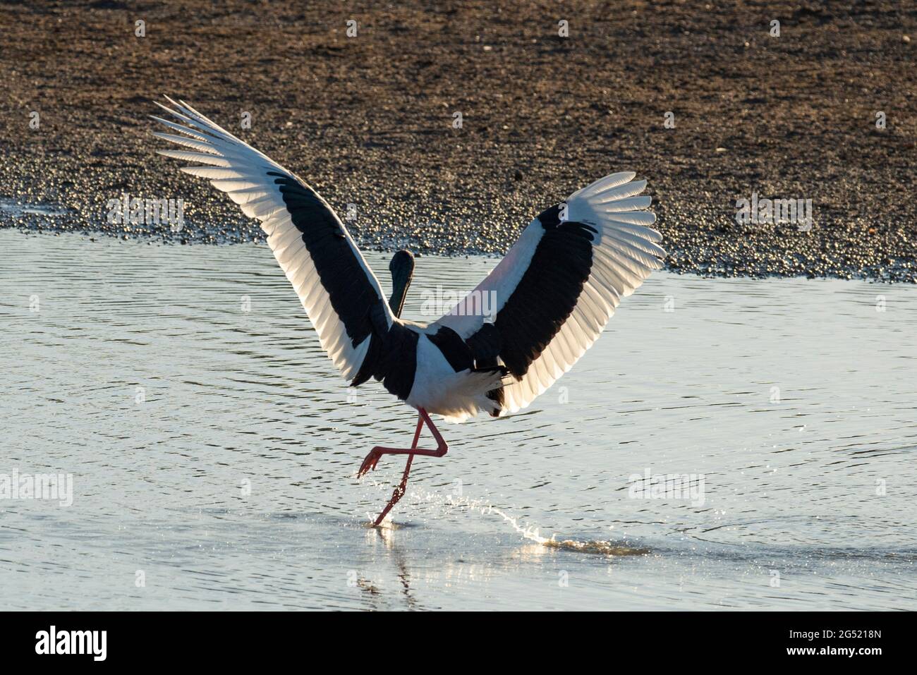 Flinders river, queensland hi-res stock photography and images - Alamy
