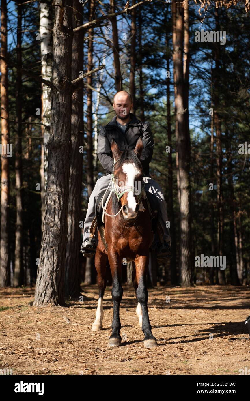 Young Man Rider With Her Horse Enjoying Good Mood in Evening Sunset ...