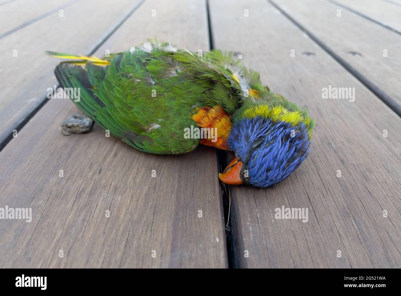 Unlife hi-res stock photography and images - Alamy