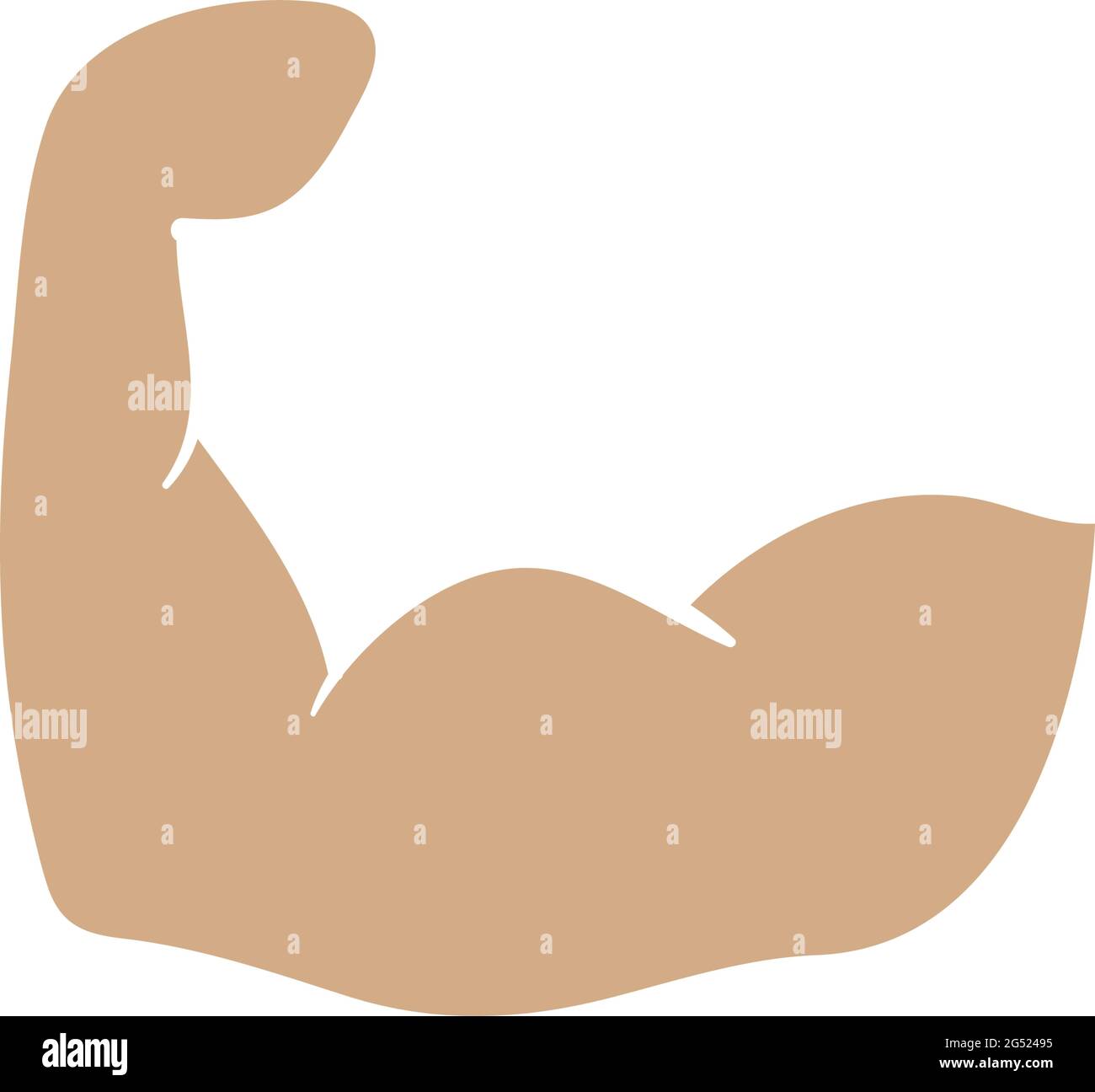 Muscle arm anatomy drawing Cut Out Stock Images & Pictures - Alamy