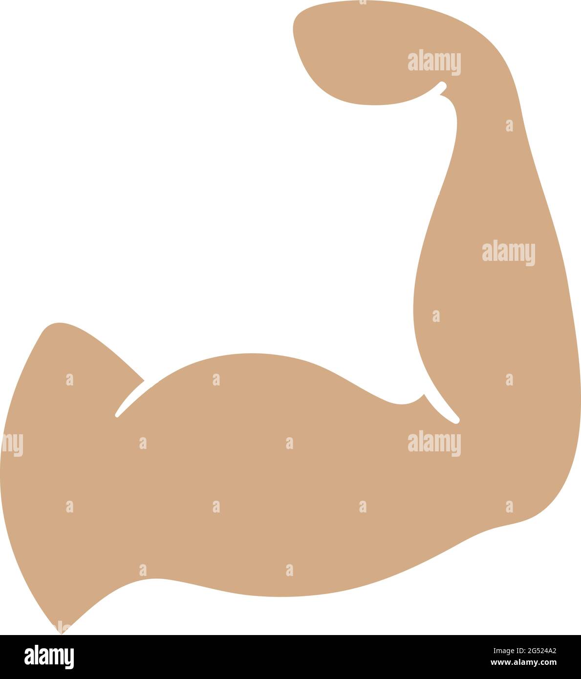 Muscle arm anatomy drawing Stock Vector Images - Alamy