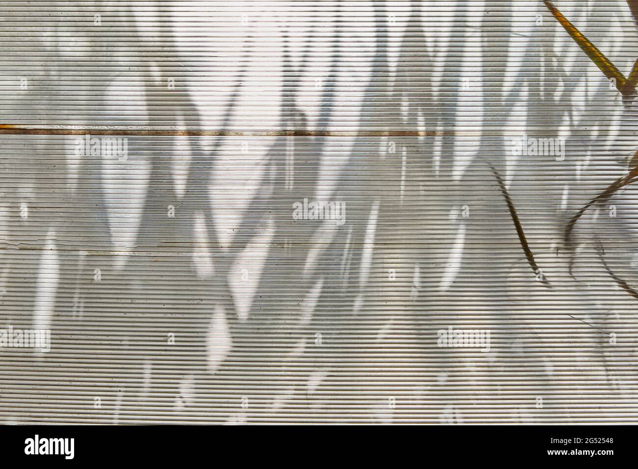 Textured translucent roof with shadow from the tree background Stock ...