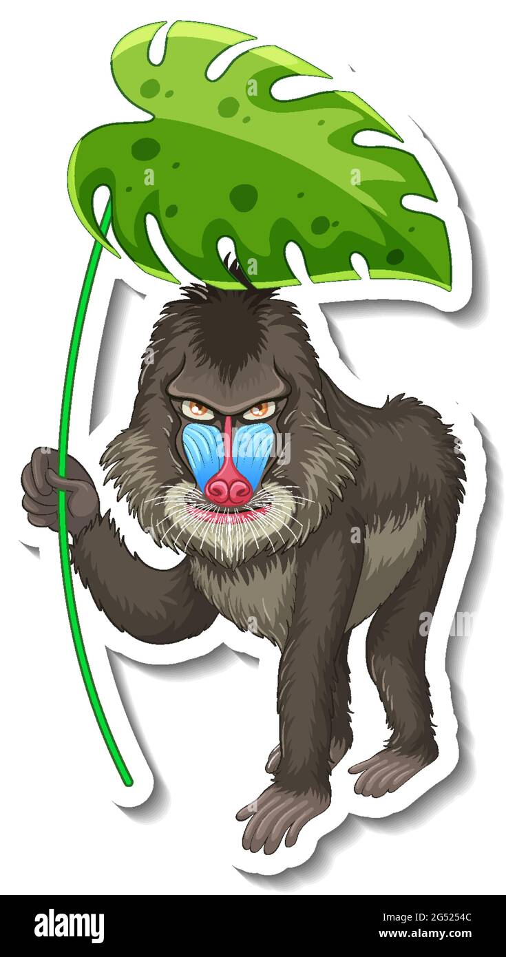 Sticker template with a mandrill holding a leaf on white background ...