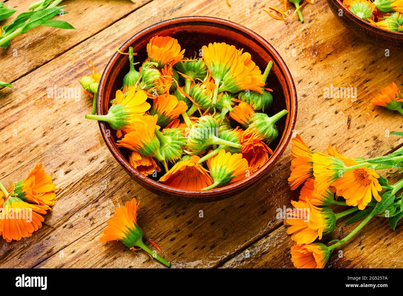 Fresh calendula flowers in herbal medicine.Marigold,healing herbs on ...