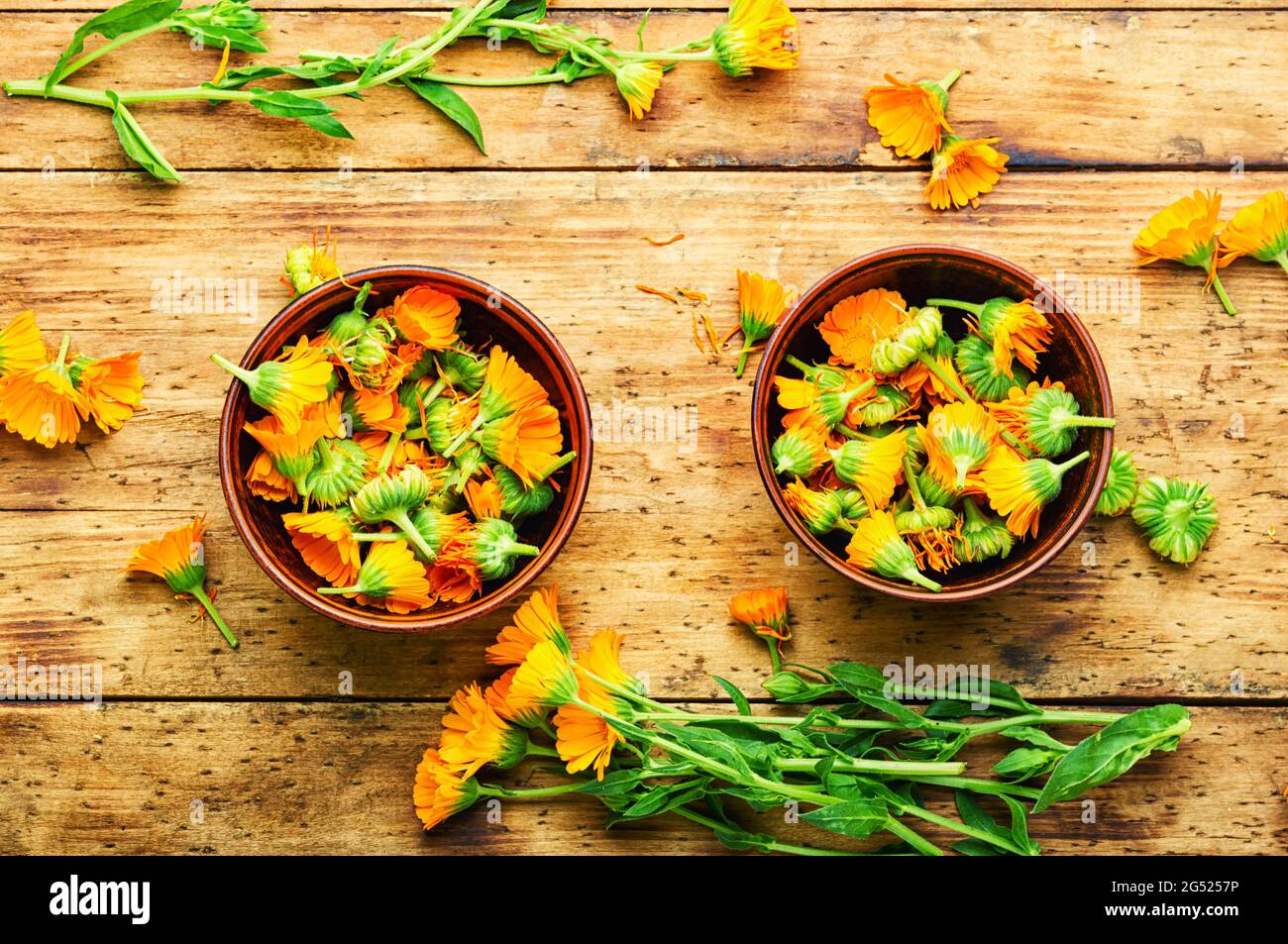 Fresh calendula flowers in herbal medicine.Marigold,healing herbs on ...