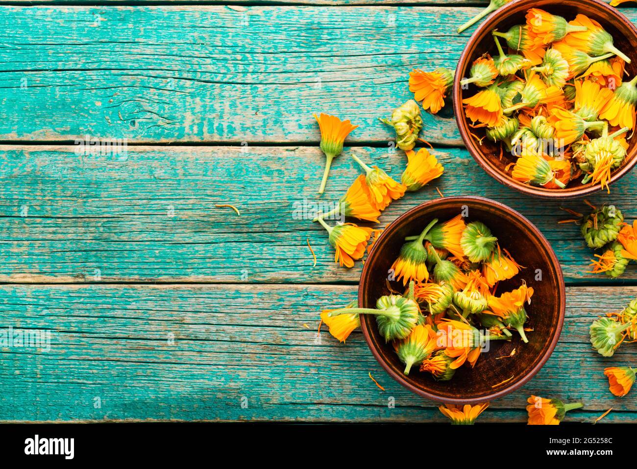 Fresh calendula flowers in herbal medicine.Marigold,healing herbs.Copy ...