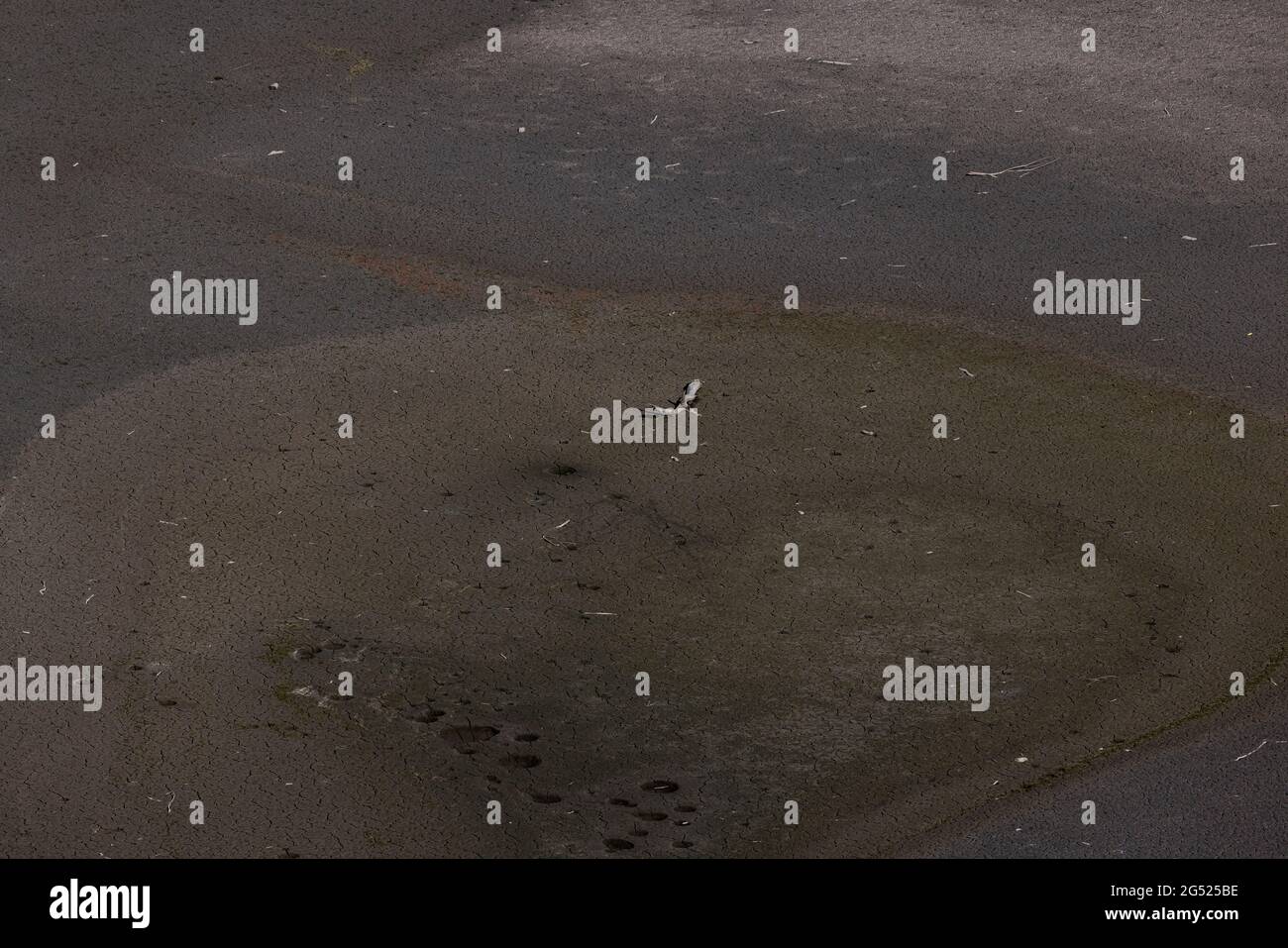 San Gabriel, USA. 24th June, 2021. The San Gabriel reservoir located in ...