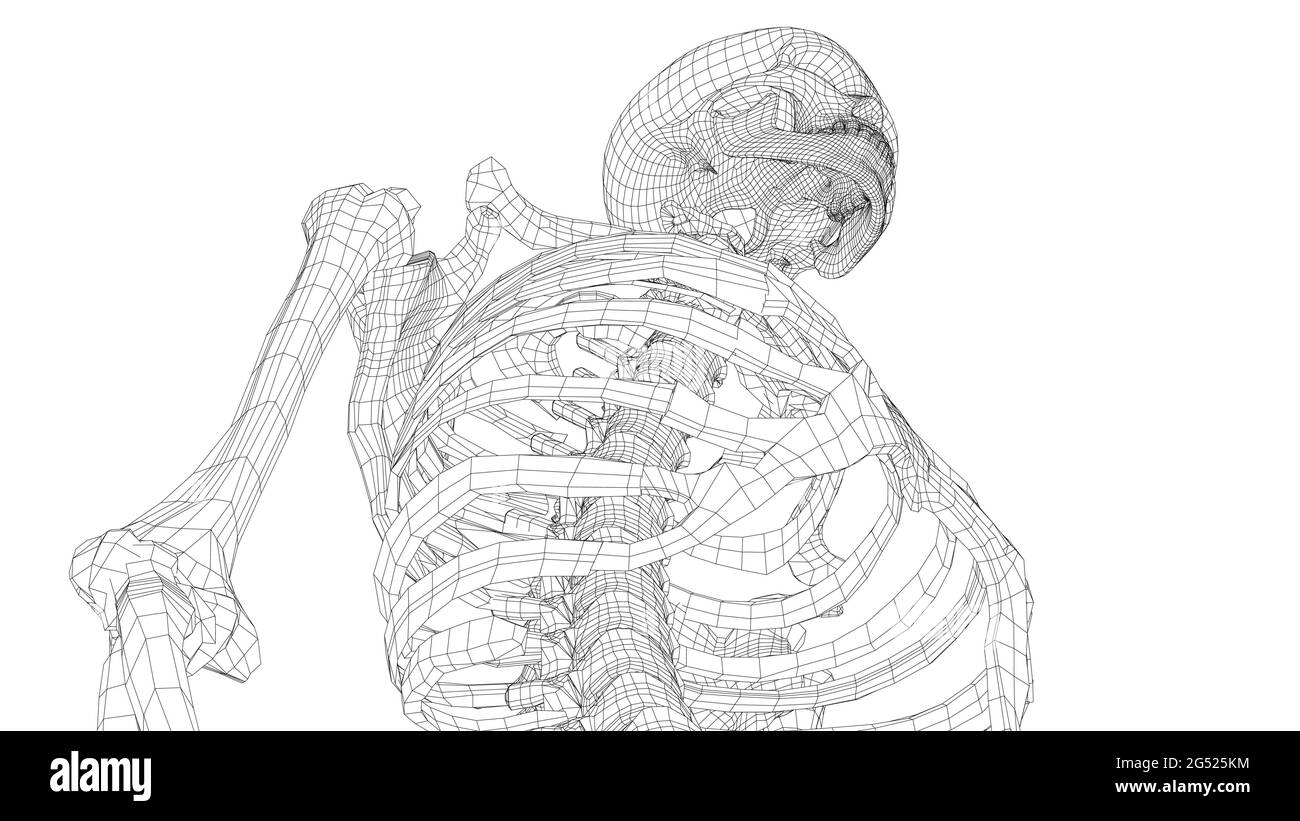 Human skeleton. Vector Stock Vector Image & Art - Alamy