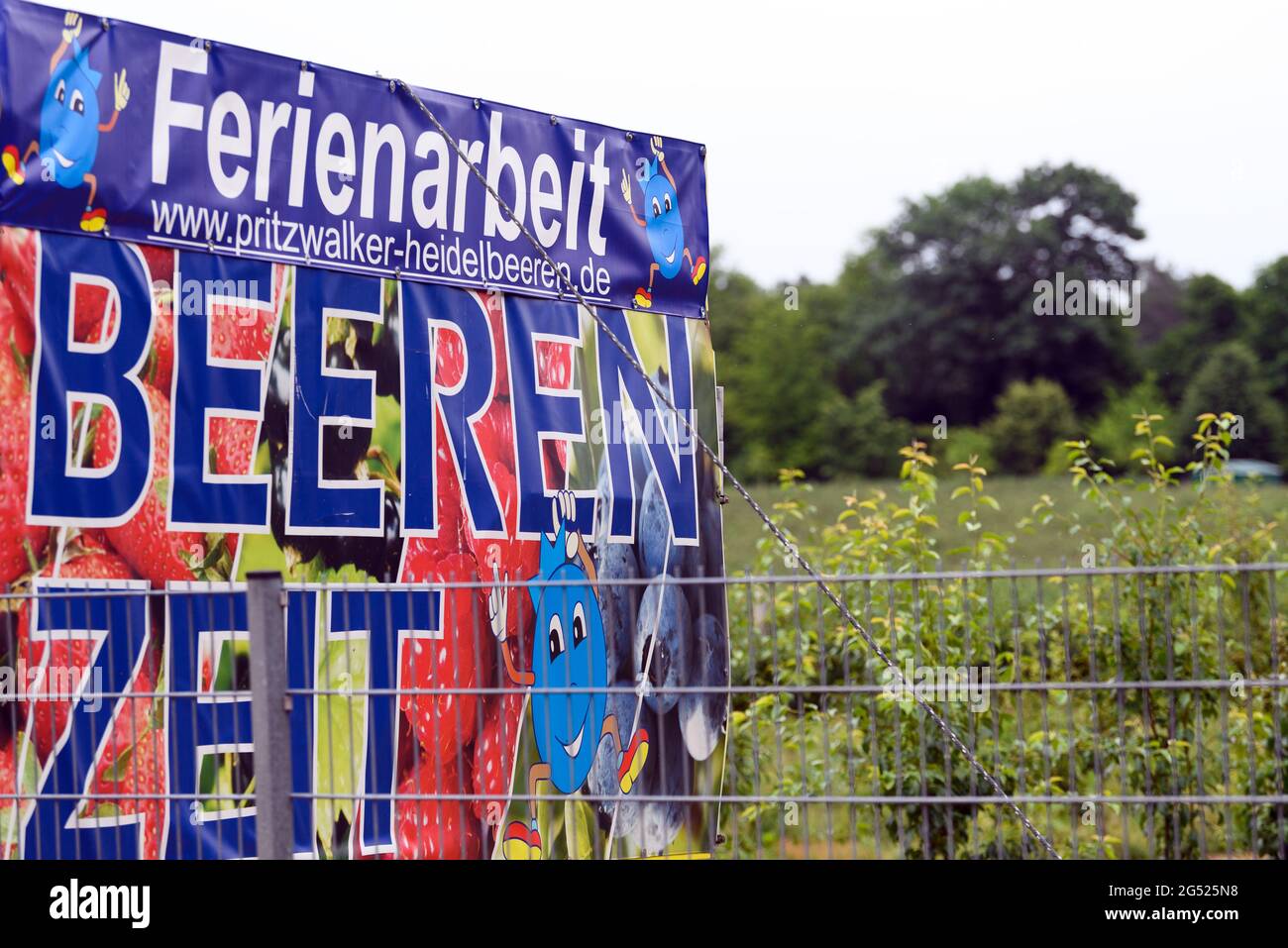 Pritzwalk, Germany. 24th June, 2021. A sign that reads "Holiday Work ...