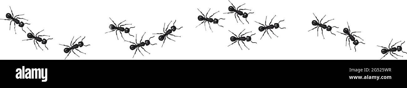 Ant trail food Stock Vector Images - Alamy