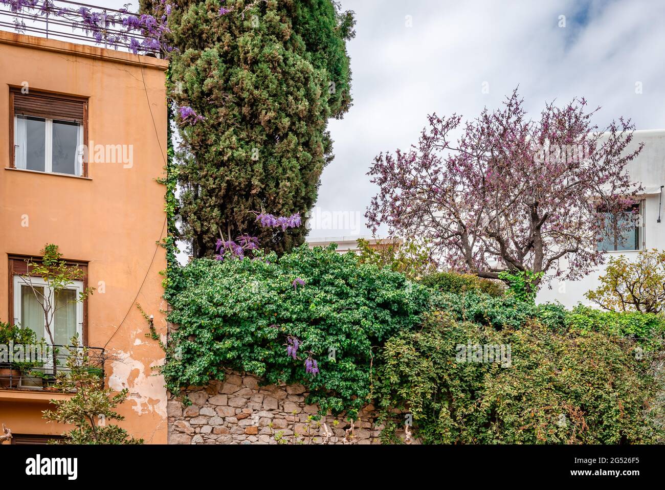 Athens spring trees greece hi-res stock photography and images - Alamy