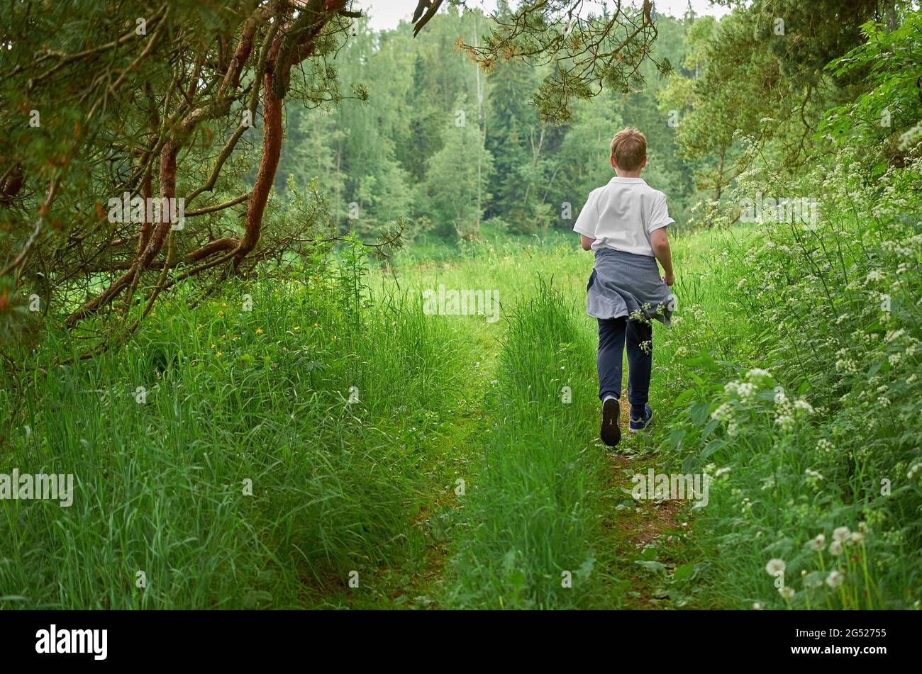 Summer landscape. A fair-haired boy walks along a path in the forest ...