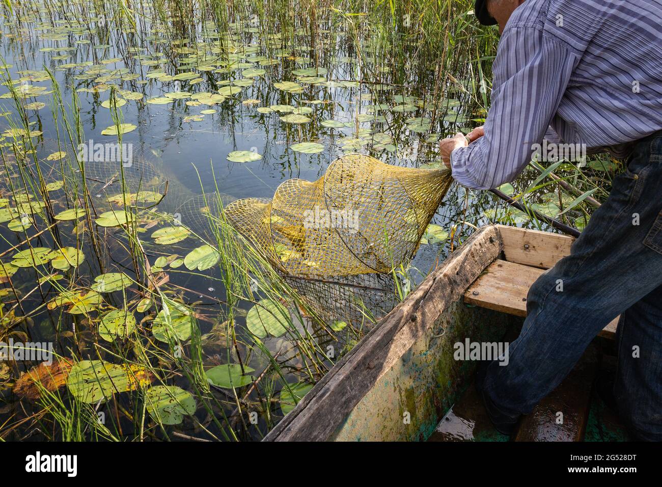 Fish trap basket hi-res stock photography and images - Alamy