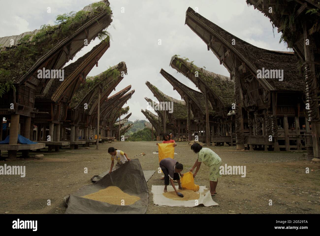 Palawa women hi-res stock photography and images - Alamy