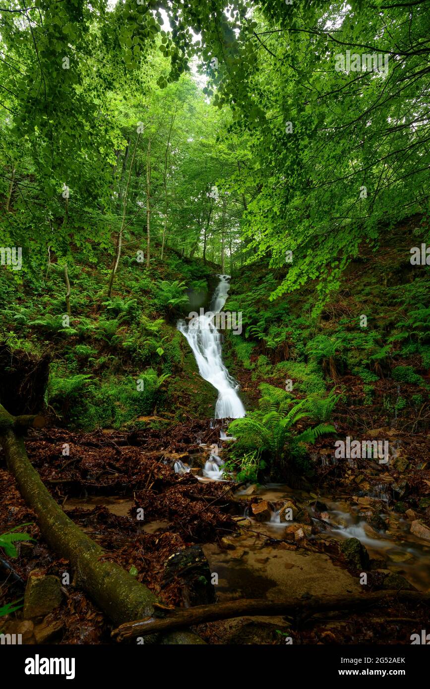 Cascada de selva hi-res stock photography and images - Alamy