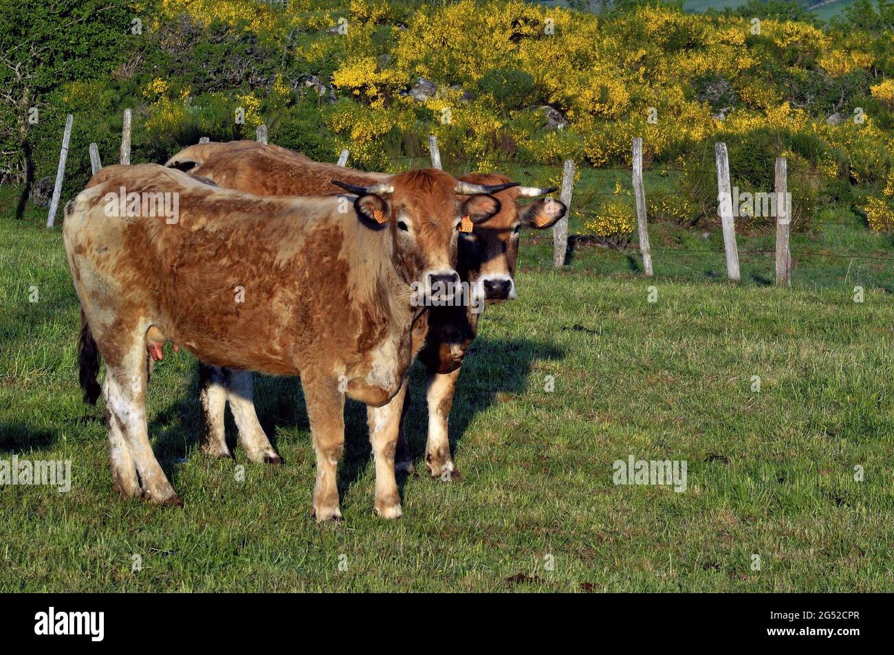 Table land hi-res stock photography and images - Alamy