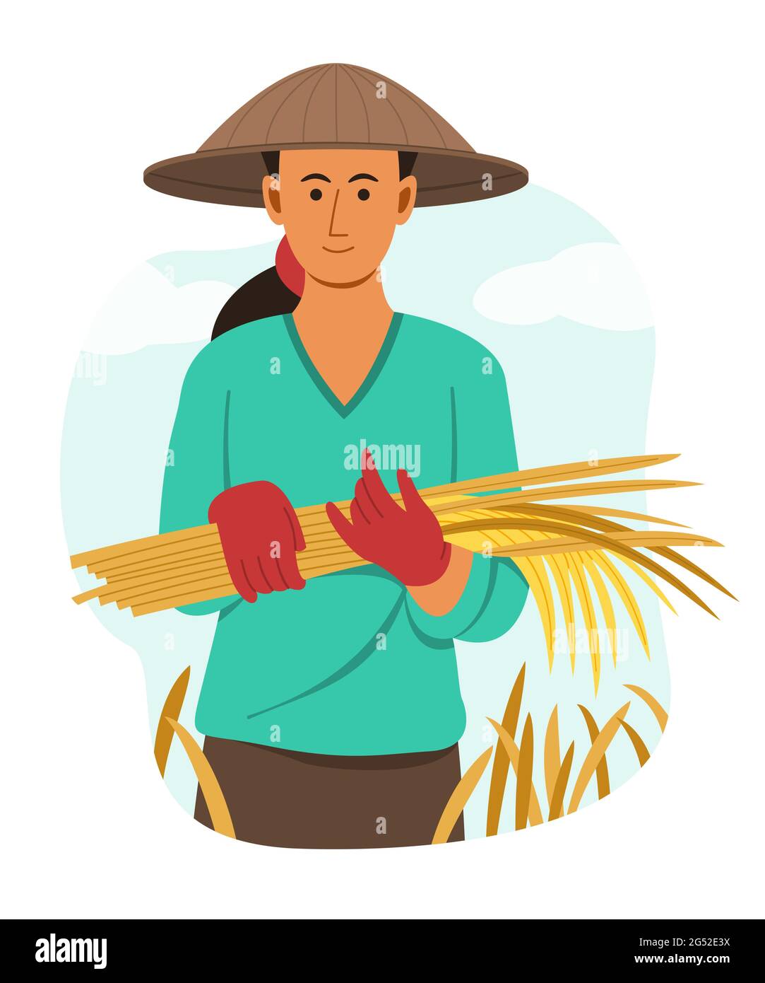 Female in rice paddy rice Stock Vector Images - Alamy