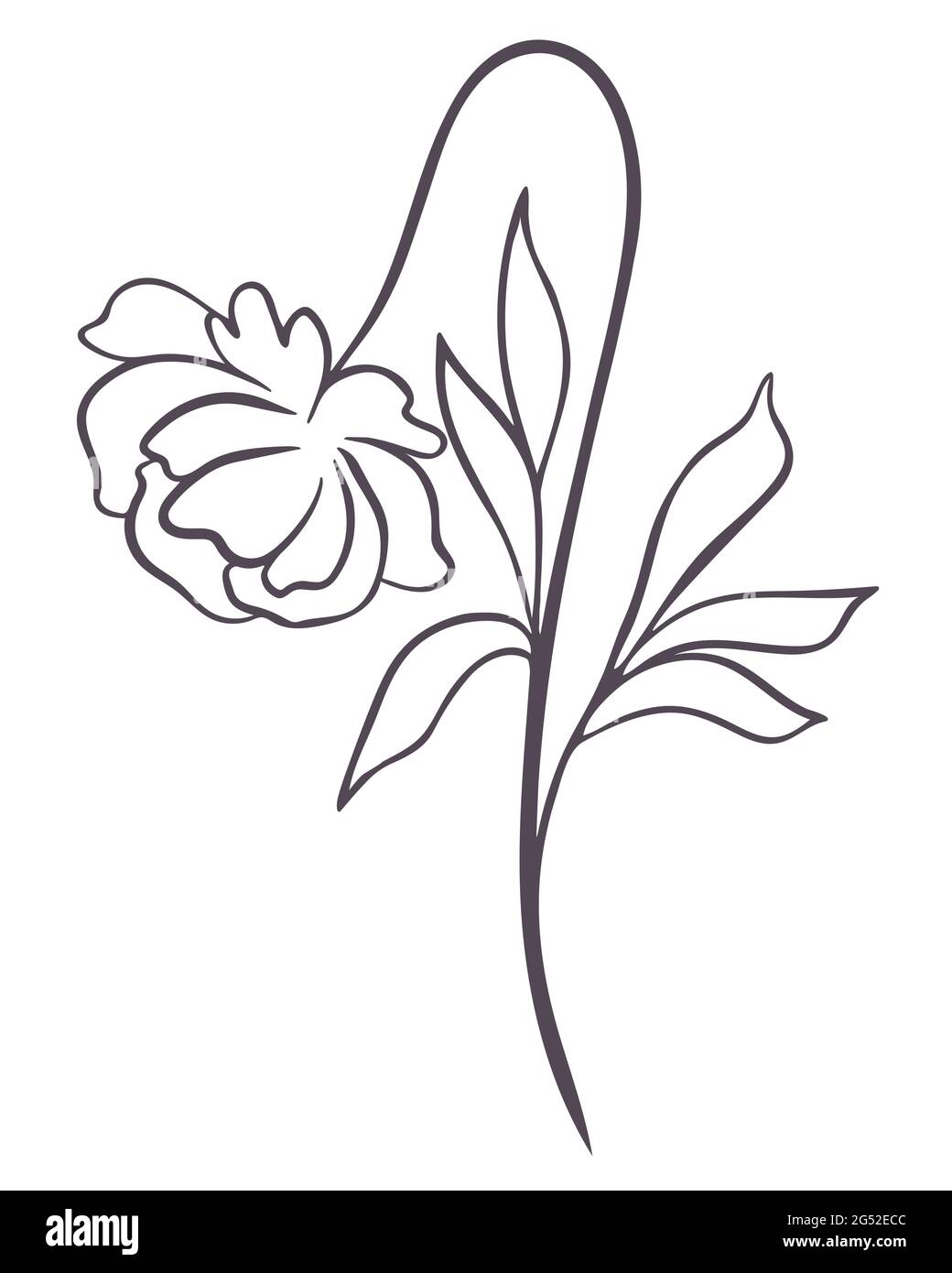 Curved line art hi-res stock photography and images - Alamy